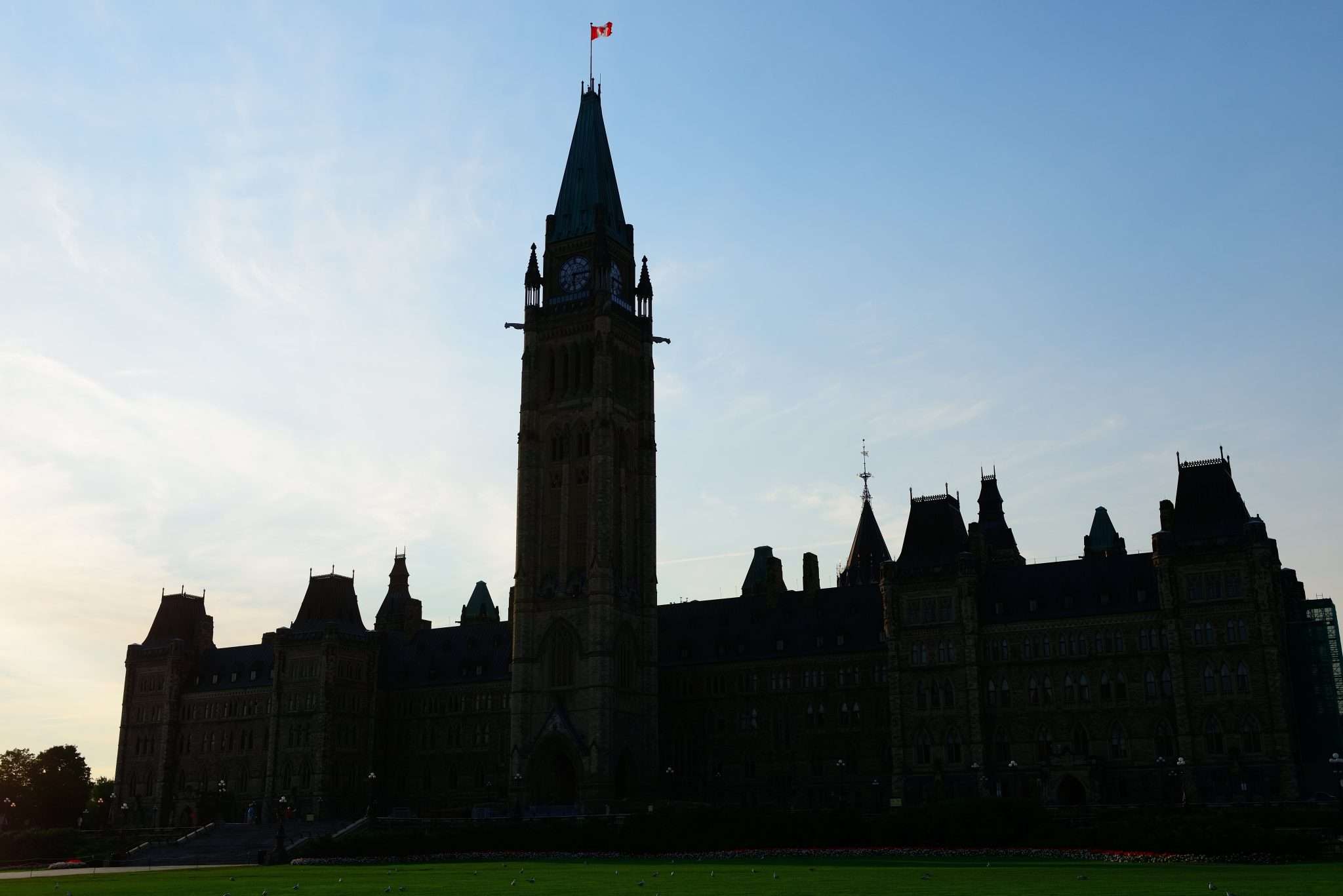 The Loomex Group | Experts in Emergency, Aviation & Infrastructure ...